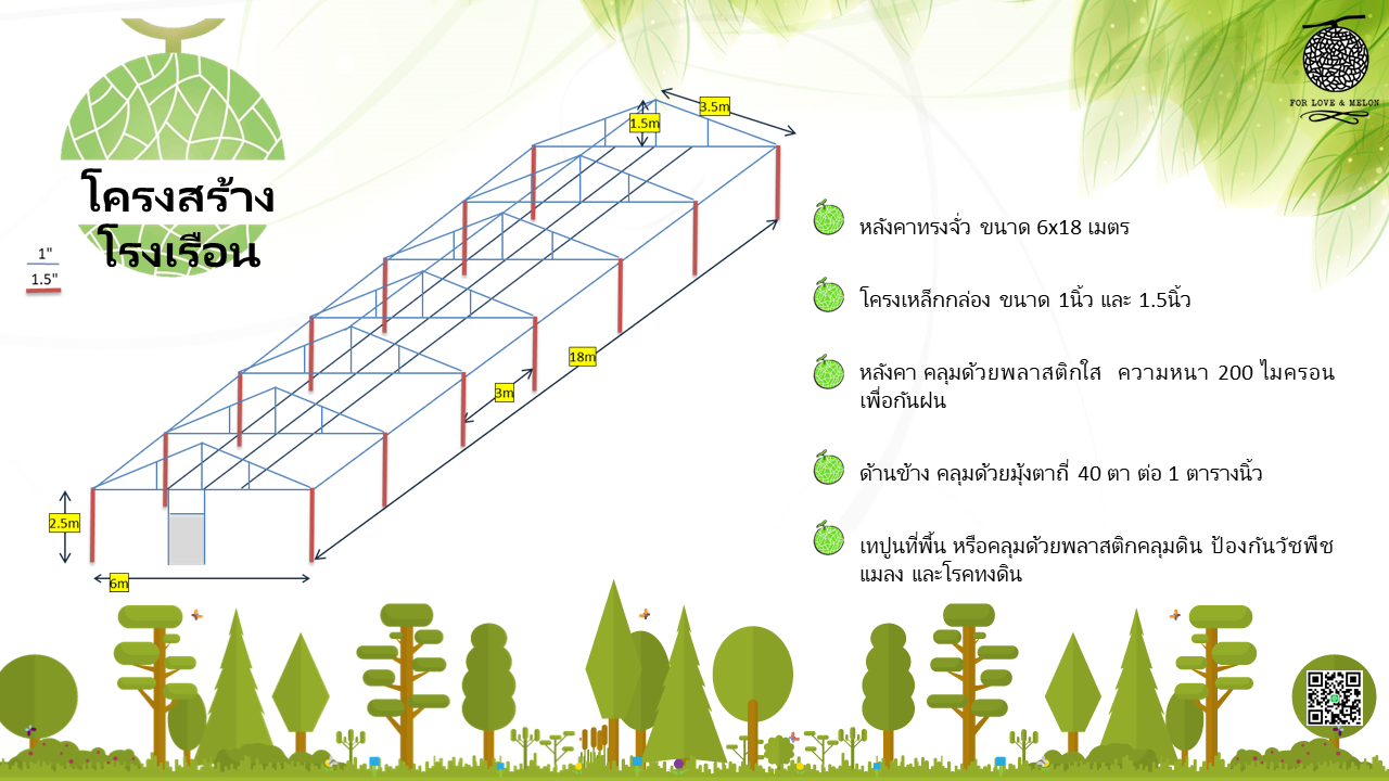 Melon Diary | For Love and Melon